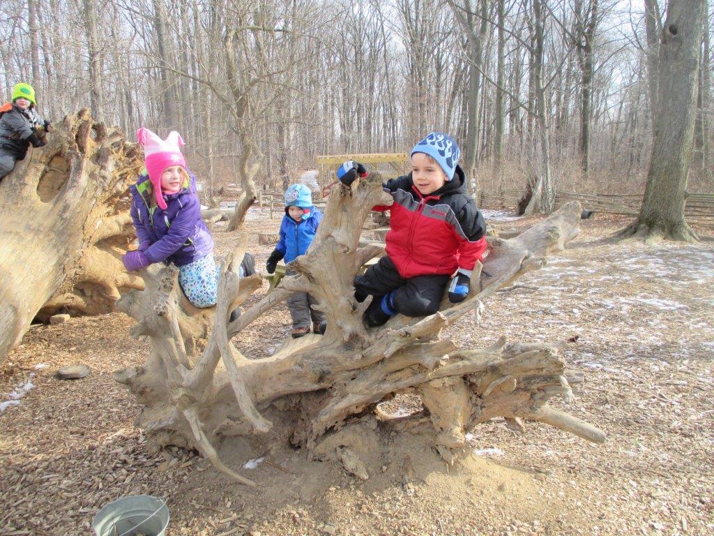 Sensing Winter - Irvine Nature Center