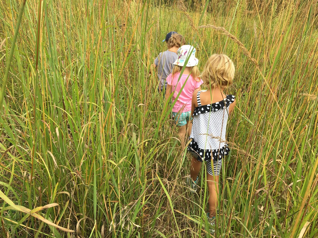 Hello Nature, Hello Friends - Irvine Nature Center