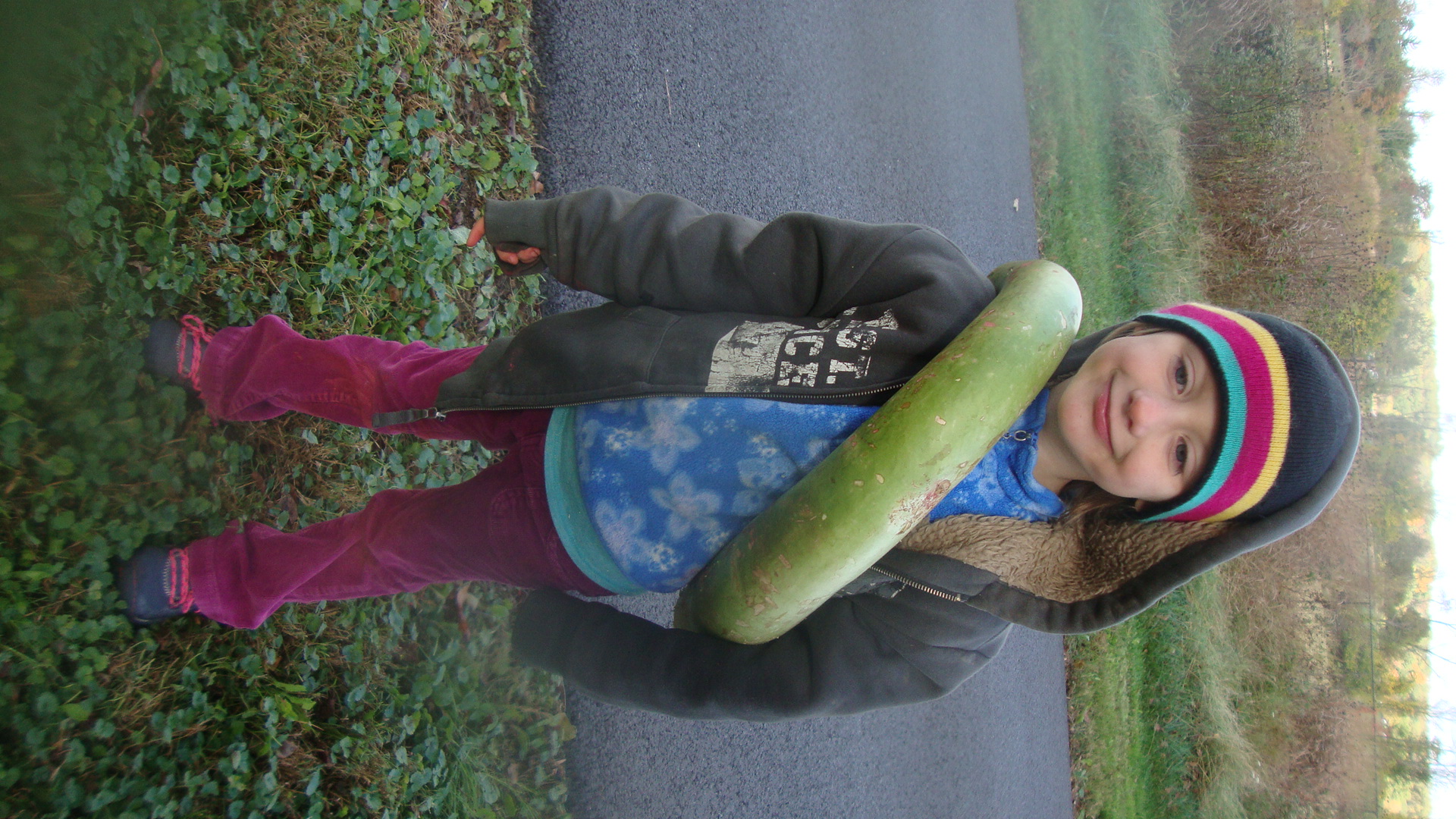 Oh My Gourd, it's a Creature of the Night! - Irvine Nature Center