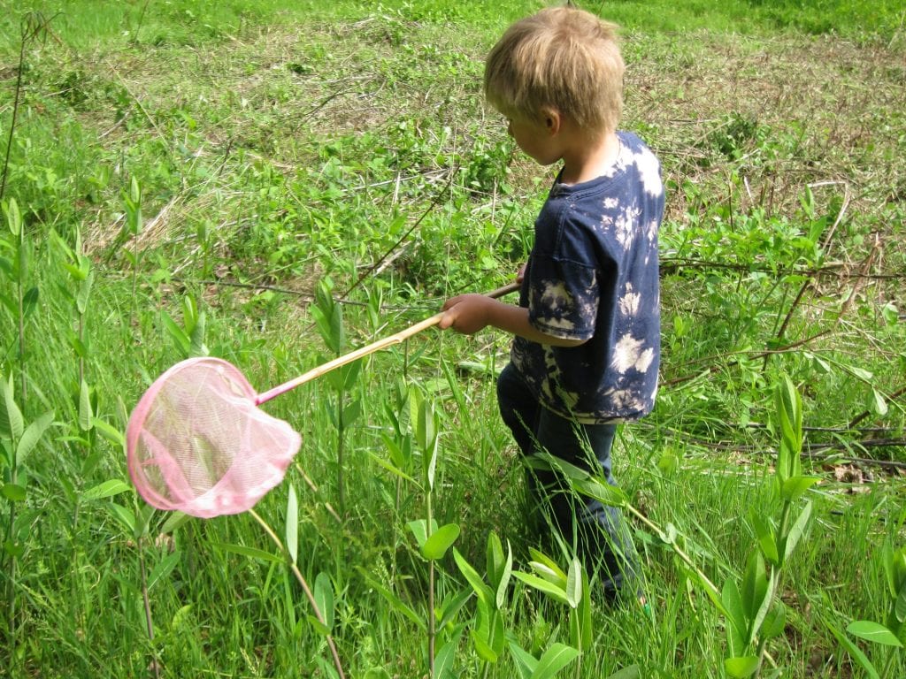 Little Things Make Big Things Happen - Irvine Nature Center
