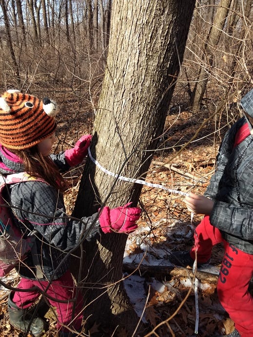 Art & Science of the Land: Spring Week 2 - Irvine Nature Center