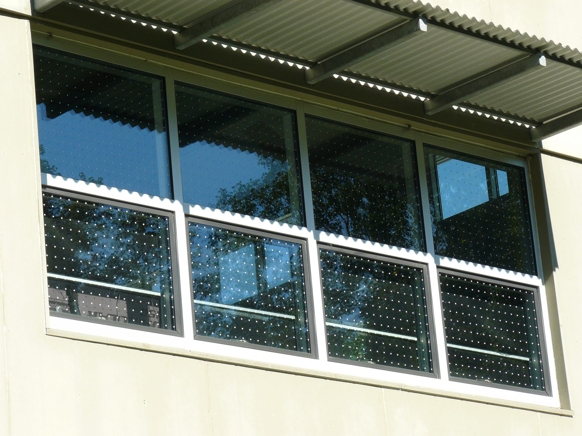 What's With the Dots on the Windows? - Irvine Nature Center