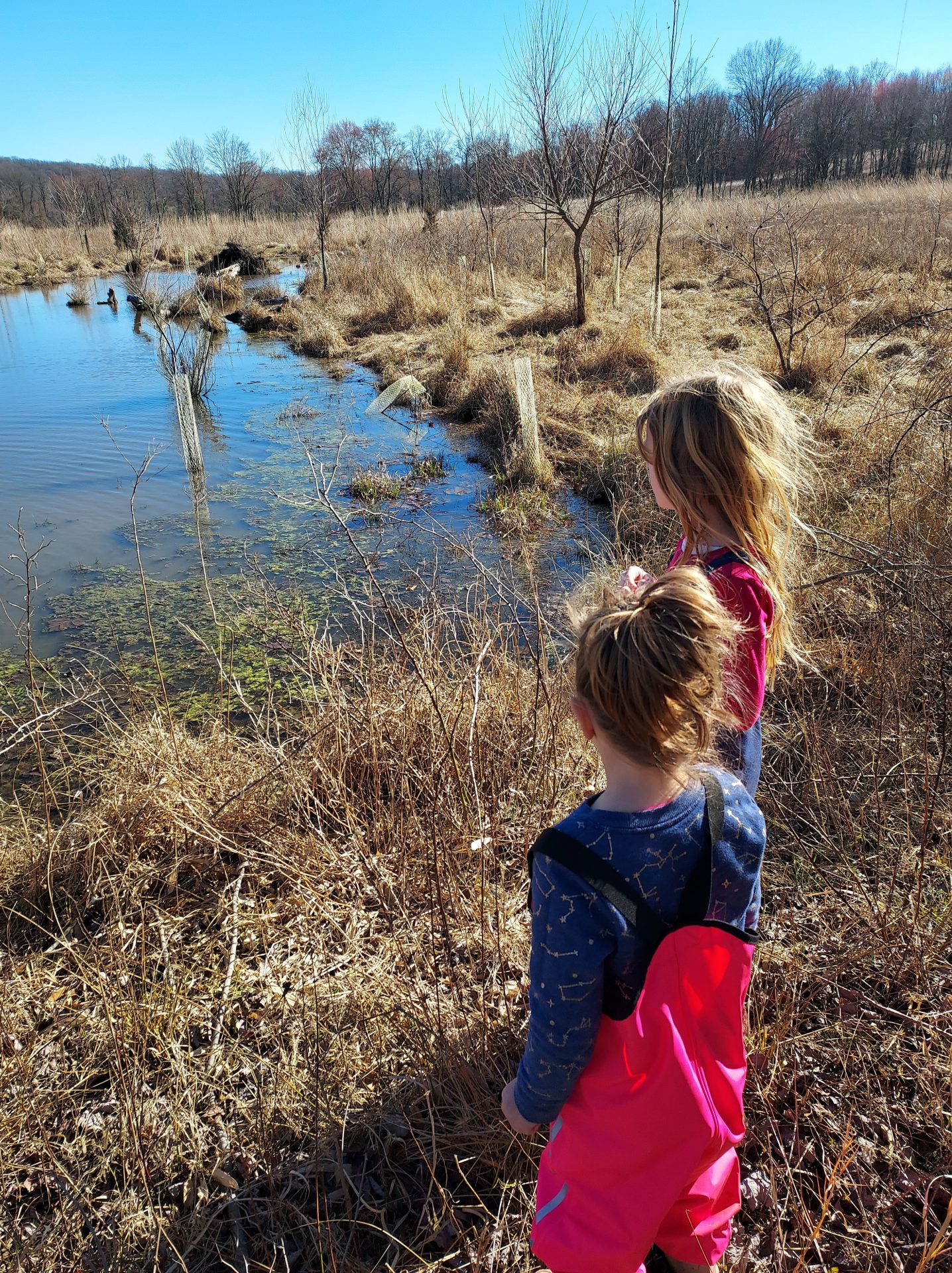 Earth Friends Homeschool - Irvine Nature Center