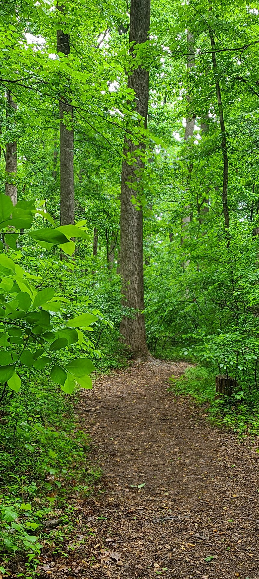 Story Time and Nature Walk - Irvine Nature Center