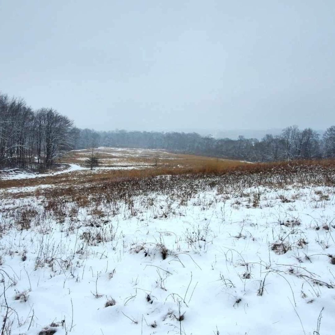 Animals in Winter - Irvine Nature Center